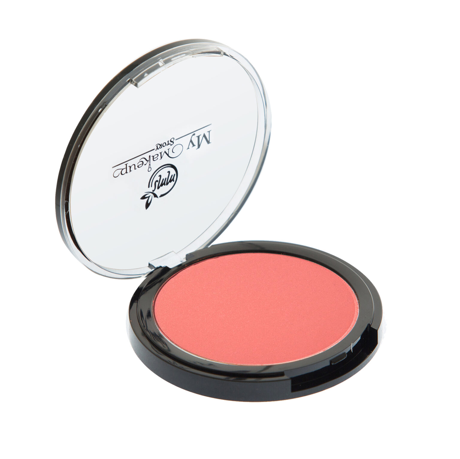 Blush & Bronze - My Makeup Story India